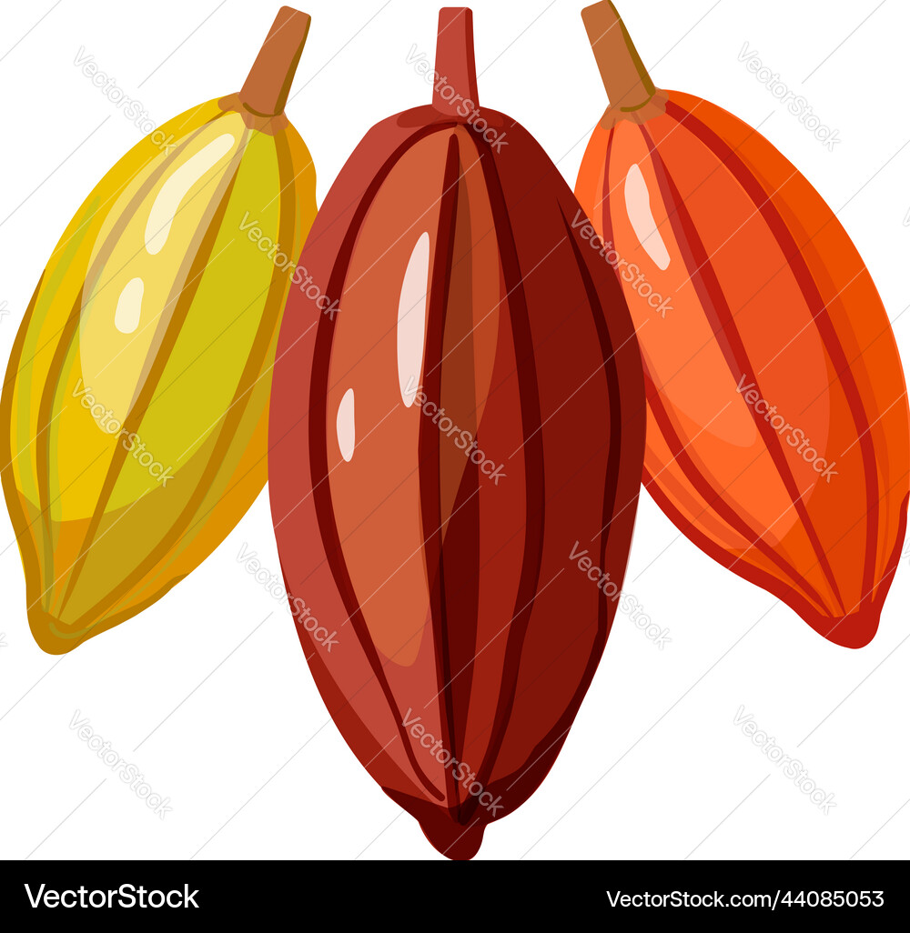 Cocoa tree pod icon cartoon farm leaf Royalty Free Vector
