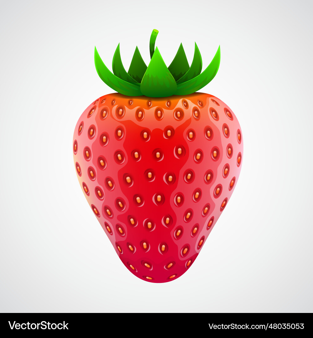 Fresh realistic strawberry isolated on white Vector Image