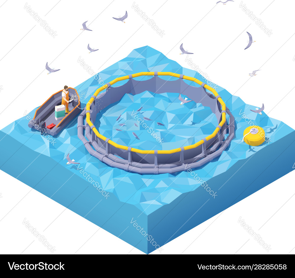 Isometric feeding fish at fish farm Royalty Free Vector