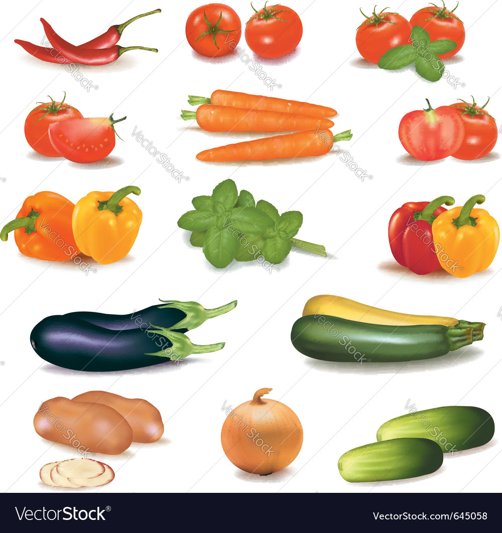 Vegetables Royalty Free Vector Image - VectorStock