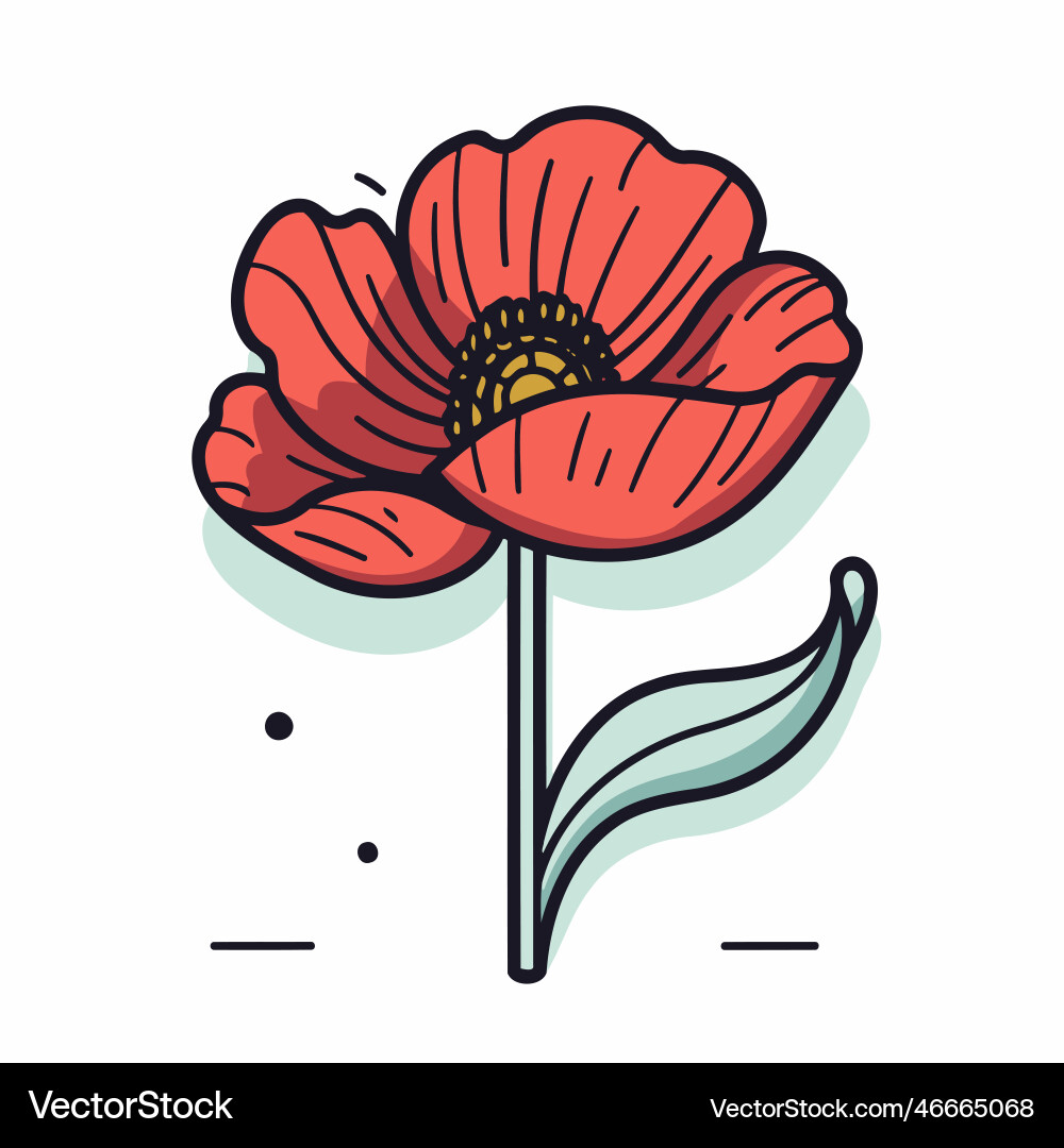 One red poppy flower Royalty Free Vector Image