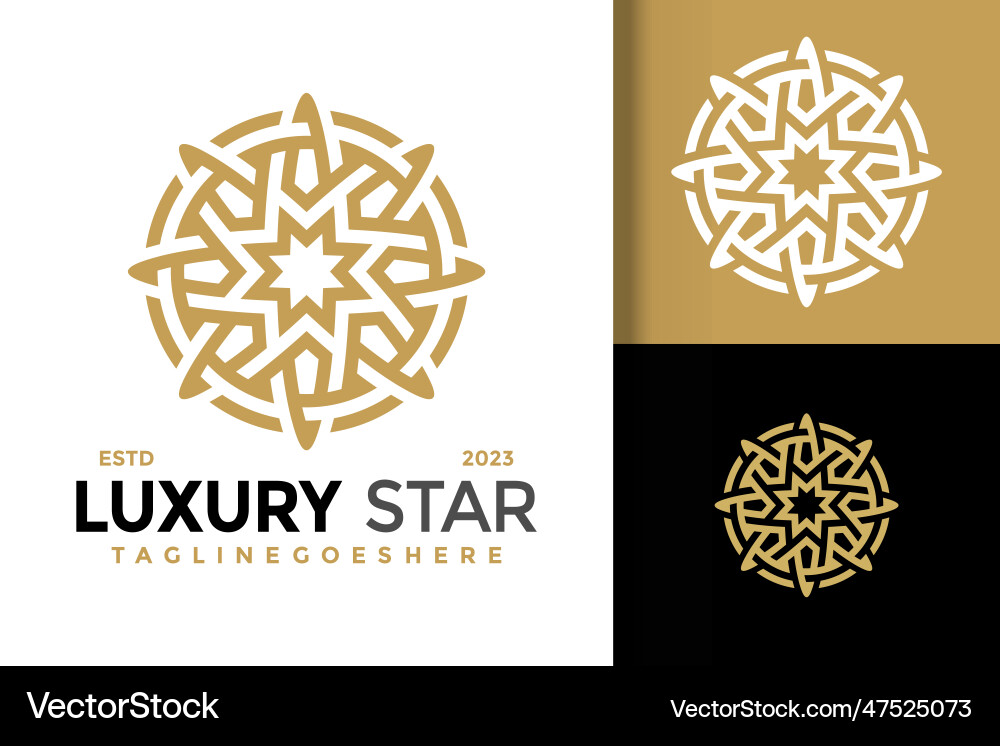 Luxury star geometric logo icon Royalty Free Vector Image