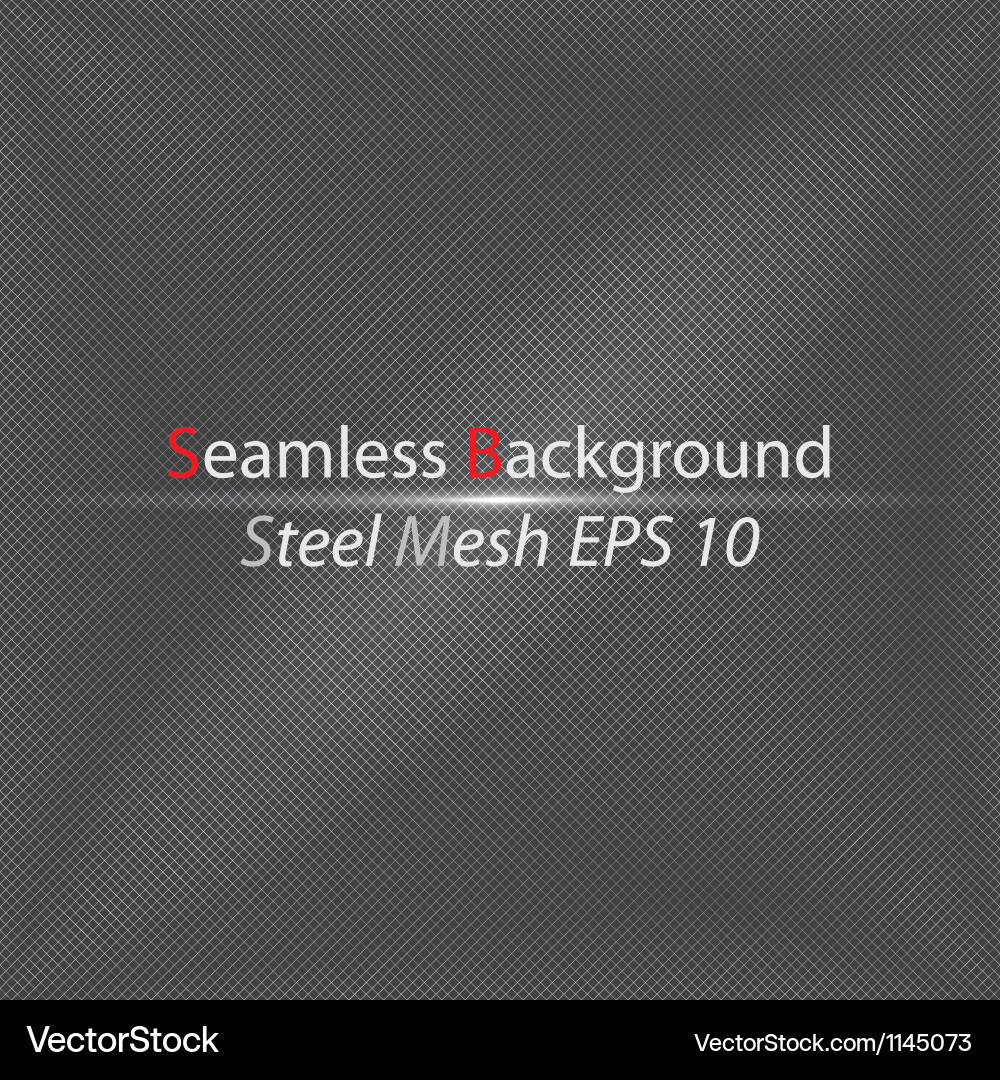 Texture of a steel mesh Royalty Free Vector Image