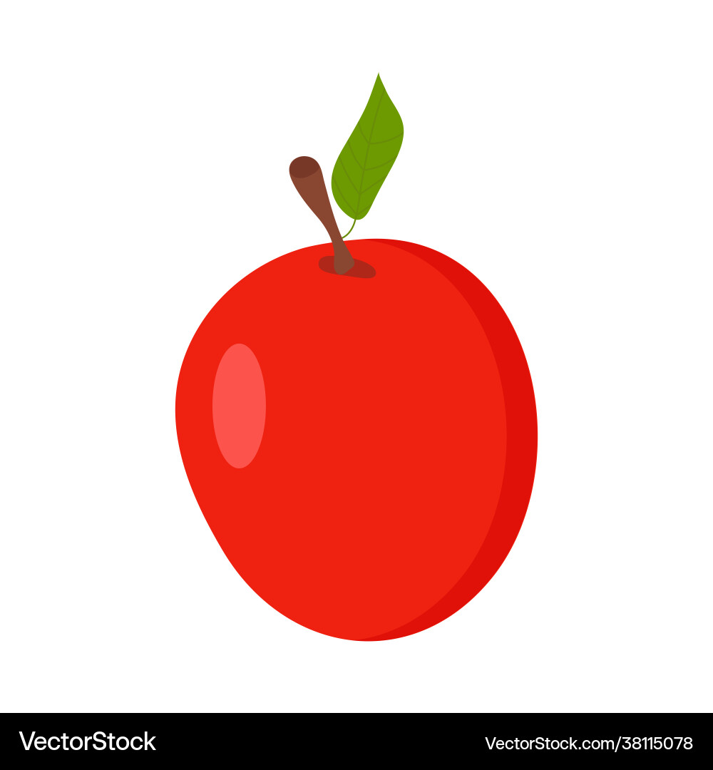A ripe red apple on white background for use Vector Image