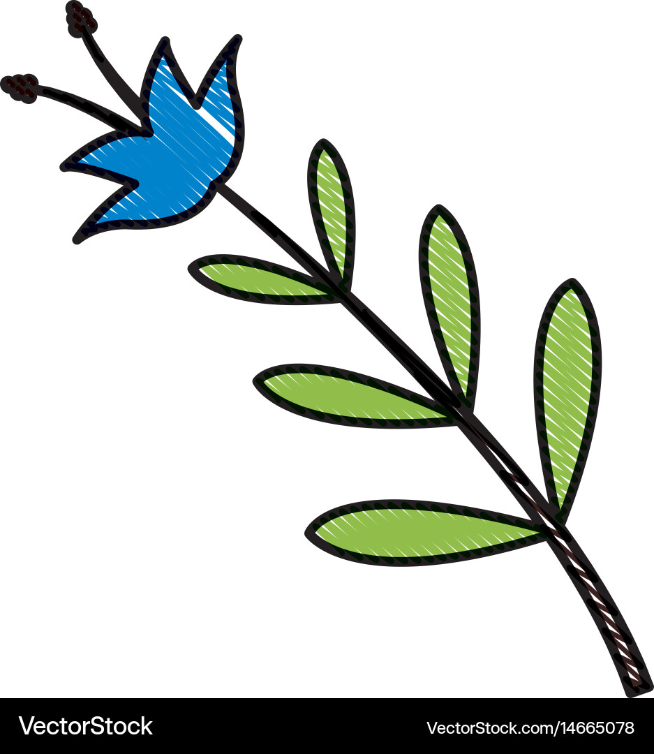 Drawing blue flower decoration celebration Vector Image