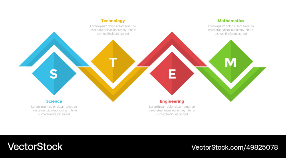 Stem education infographics template diagram Vector Image