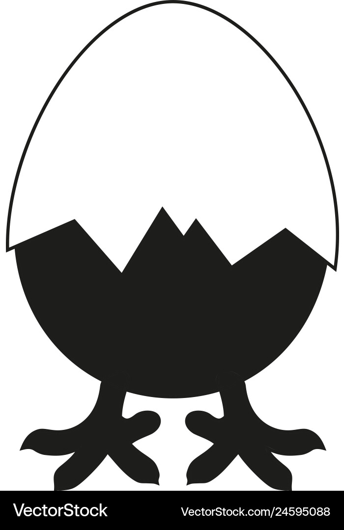 Black and white new chick is born Royalty Free Vector Image
