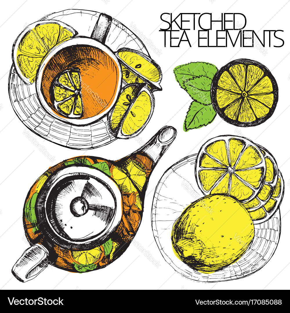 Tea hand draw set - teapot cup and spoon Vector Image