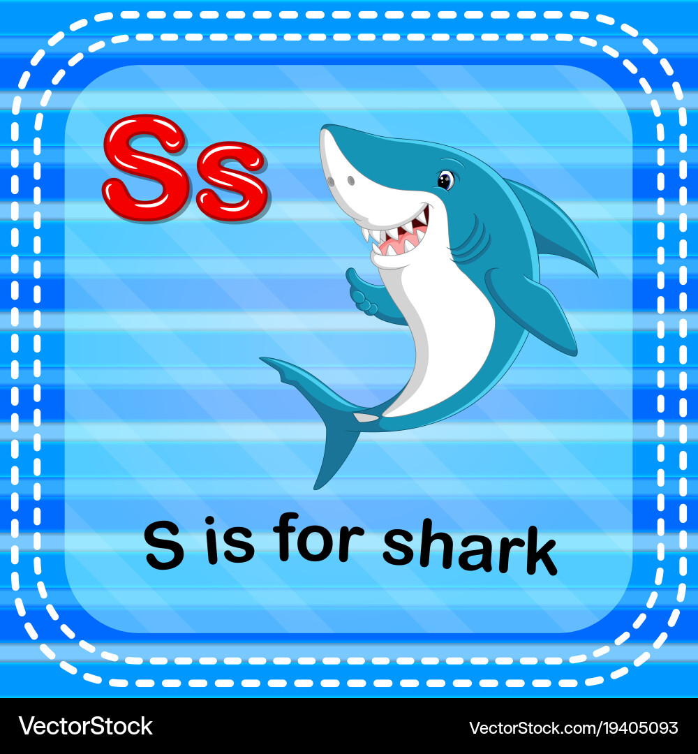 Flashcard letter s is for shark Royalty Free Vector Image