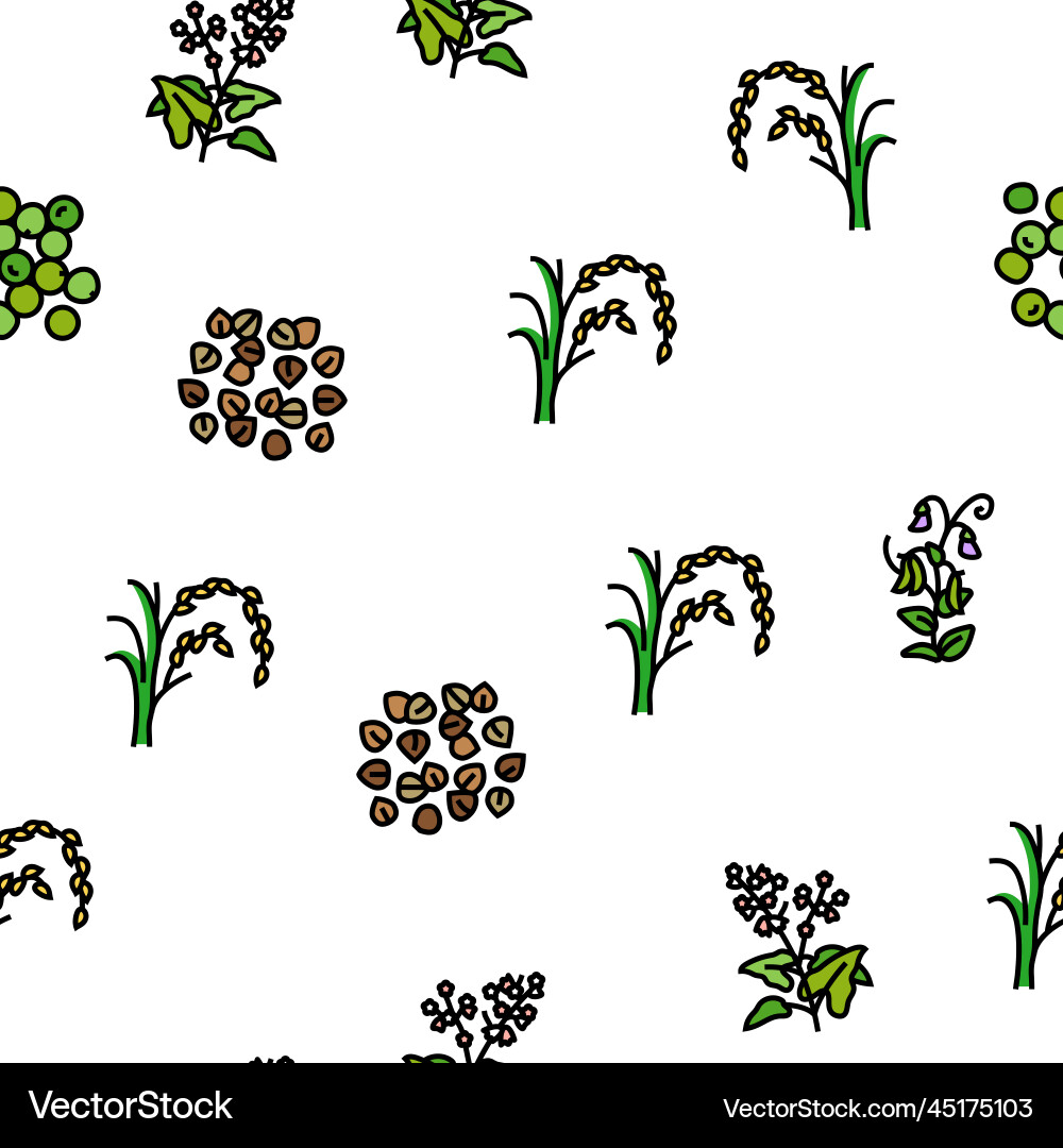 Cereal plant healthy food seamless pattern Vector Image