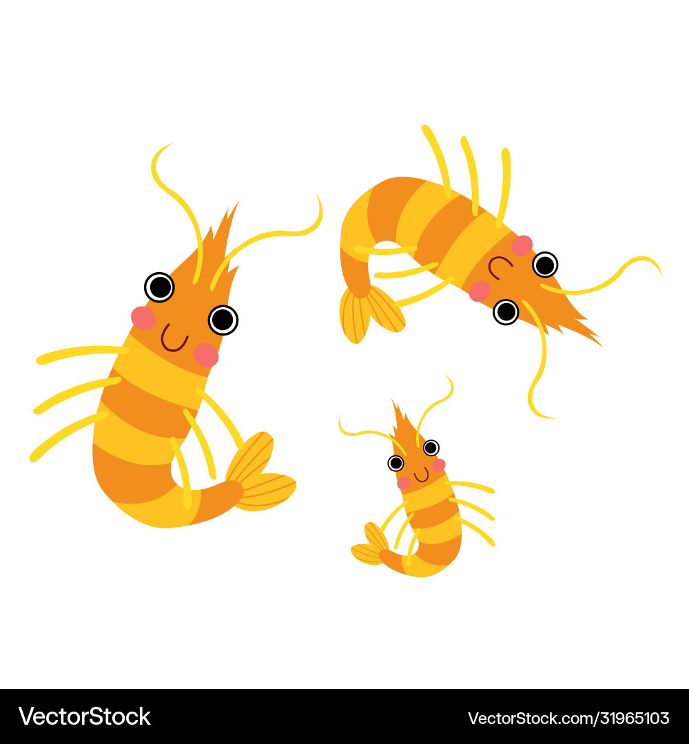 Krill animal cartoon character Royalty Free Vector Image
