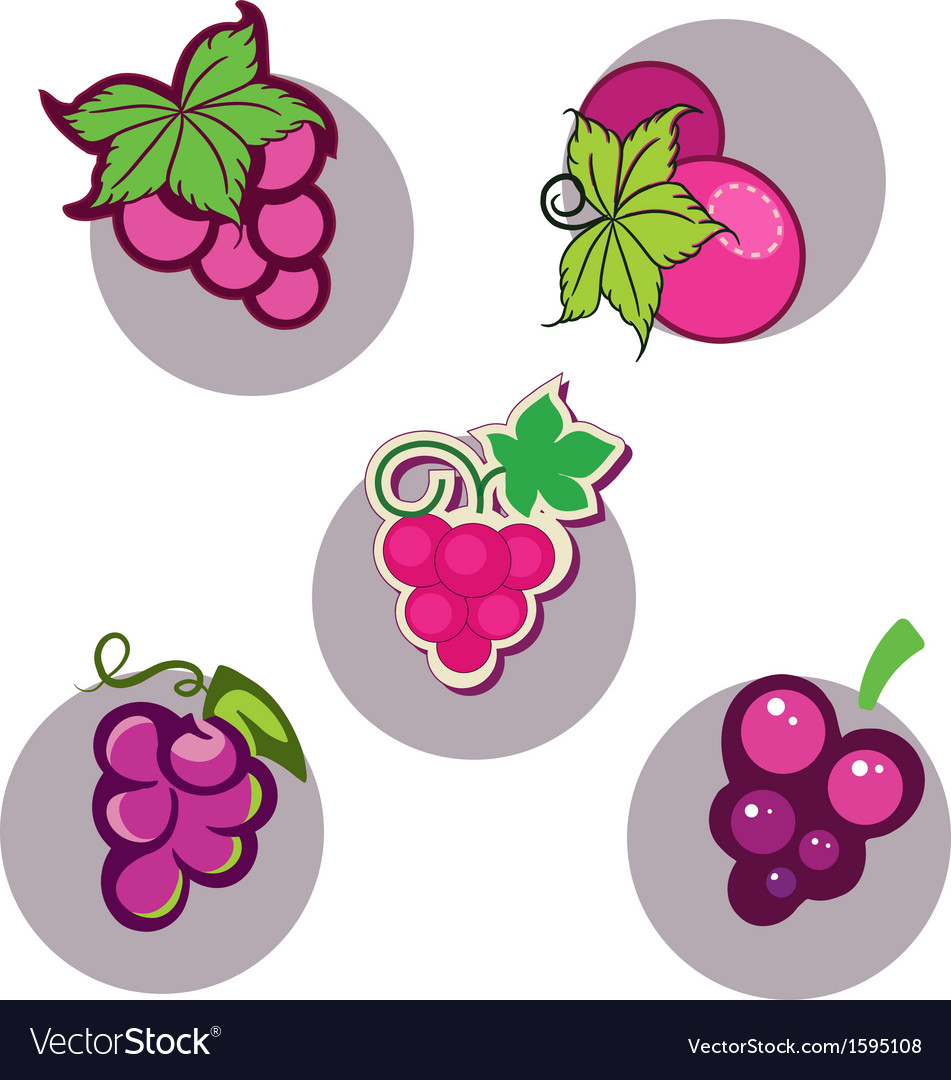 Grapes Royalty Free Vector Image - VectorStock Grapes Royalty Free Vector Image - VectorStock