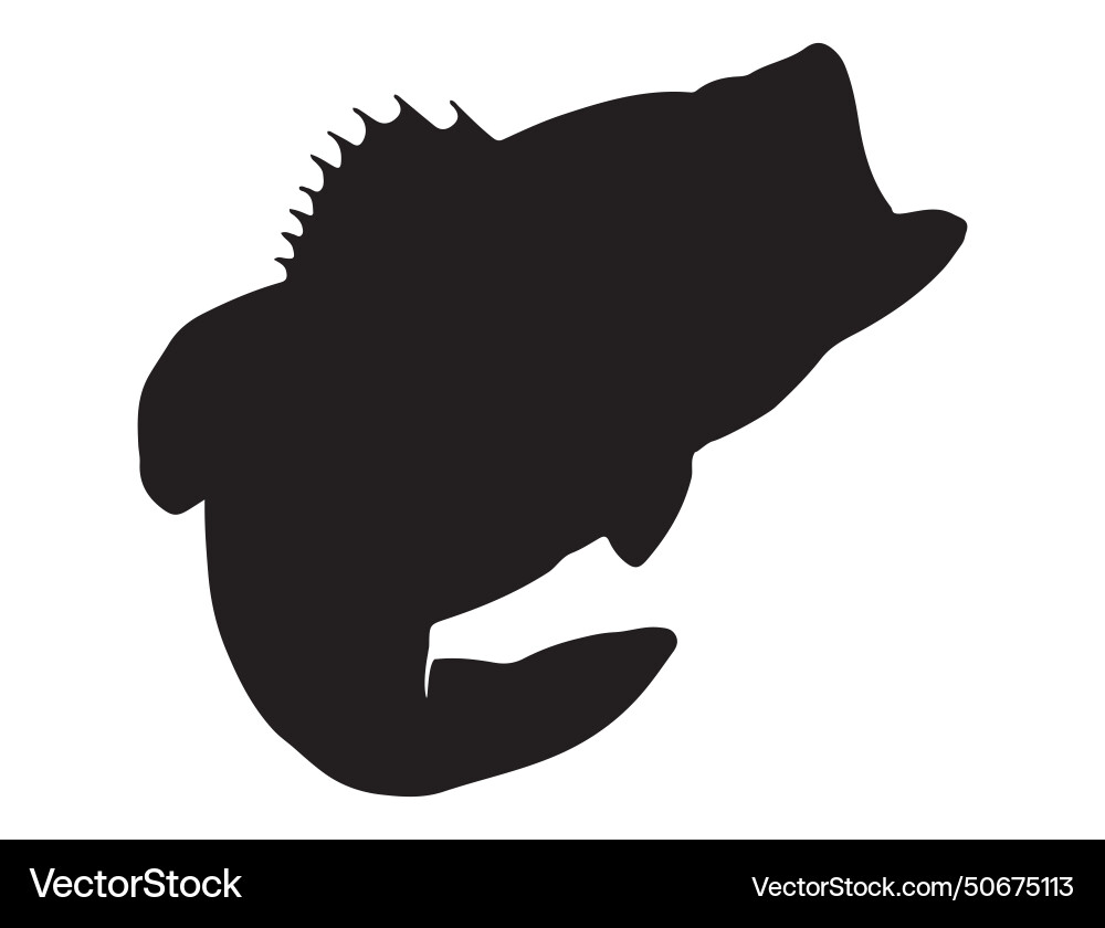 Bass fish silhouette art Royalty Free Vector Image
