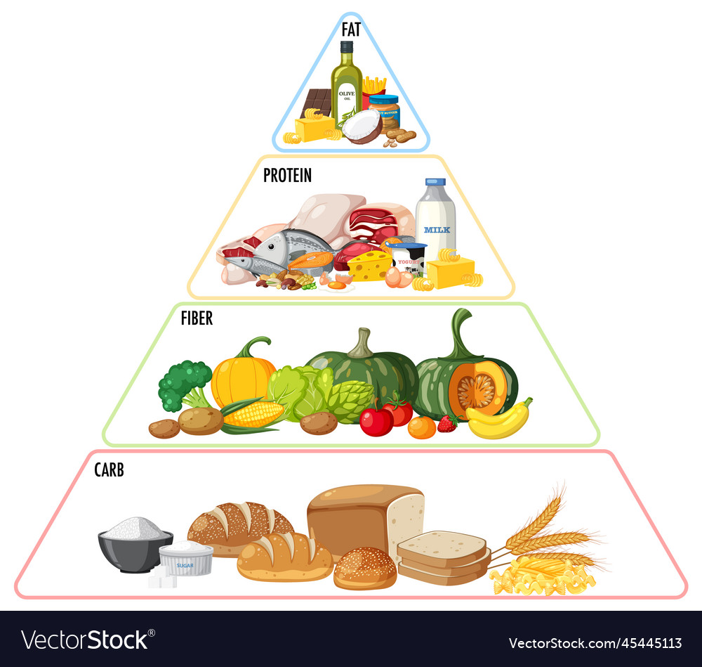 Food nutrition groups pyramid Royalty Free Vector Image