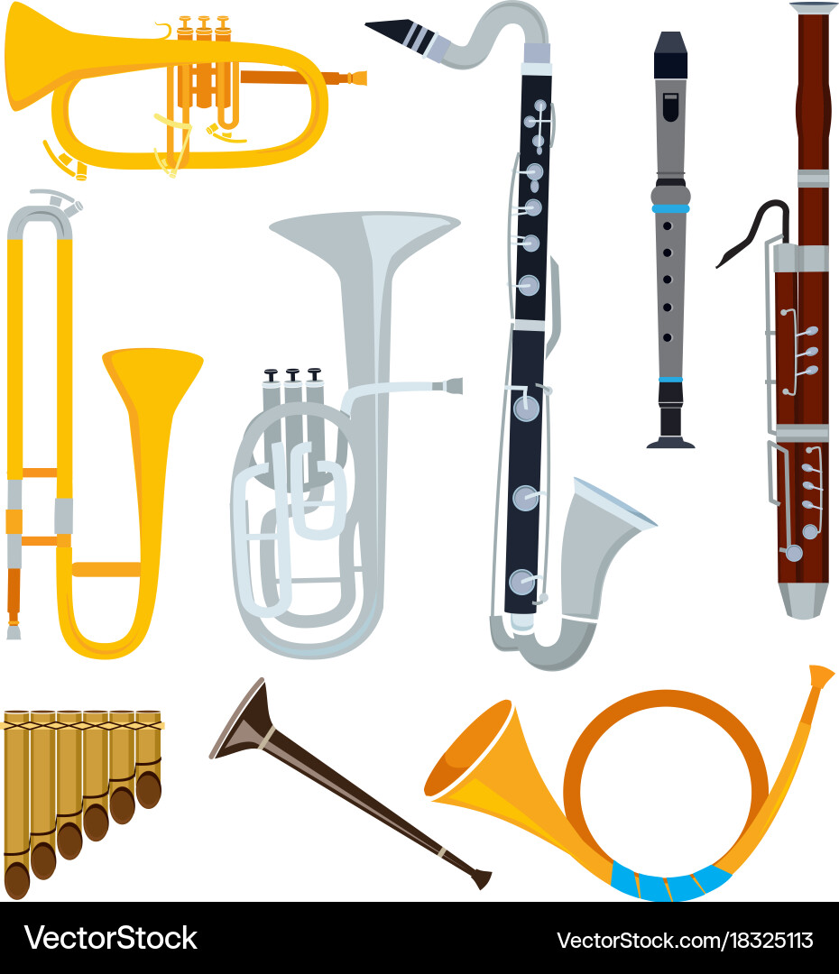 Isolated musical instruments in cartoon style Vector Image