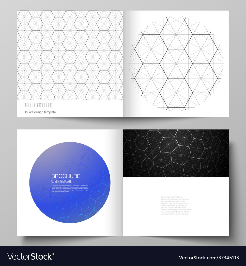 Layout two covers templates for square Royalty Free Vector