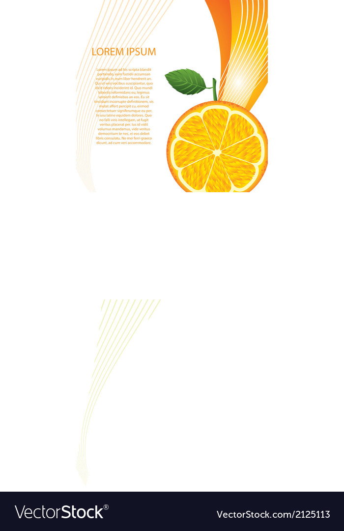 Orange fruit Royalty Free Vector Image - VectorStock