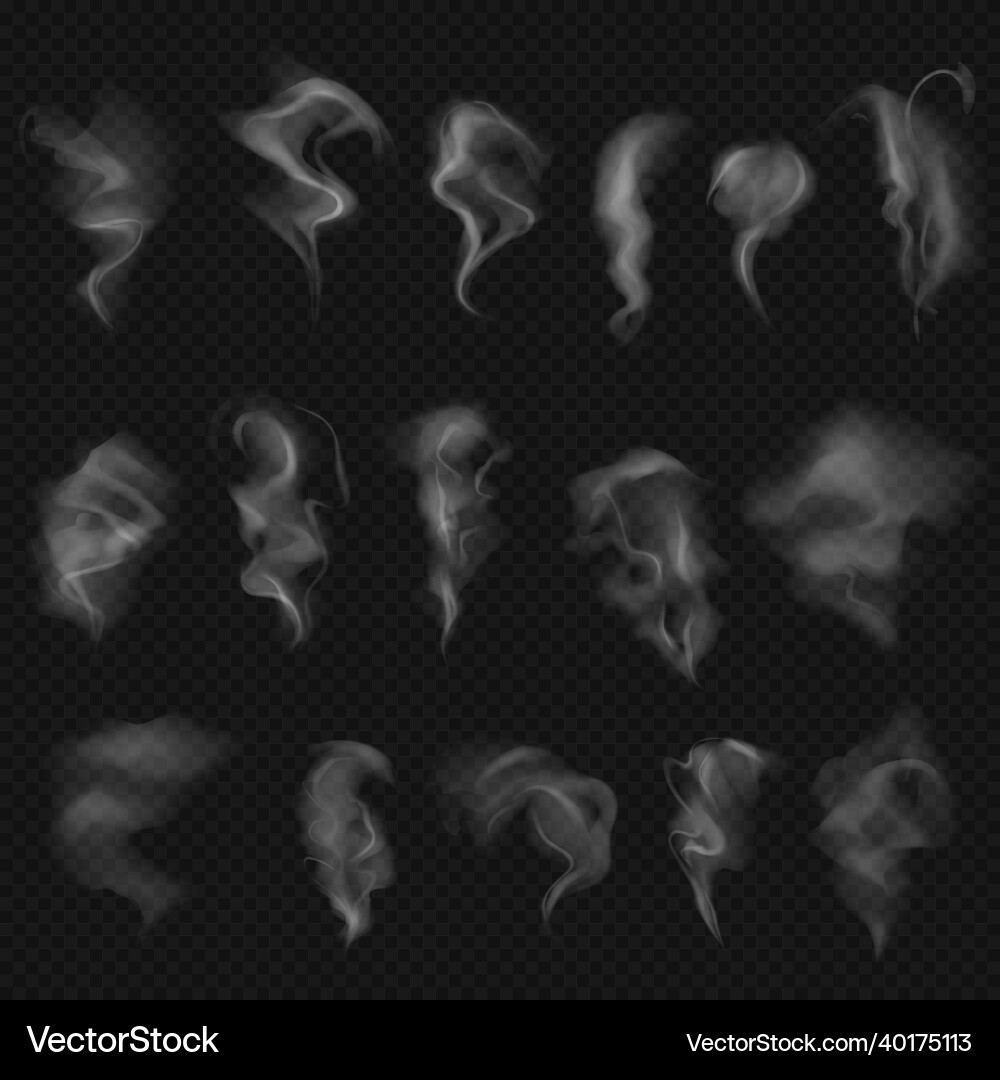 Realistic smoke set curved dynamic fog flow gray Vector Image