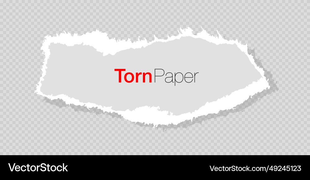 Ripped paper strip torn with edges Royalty Free Vector Image