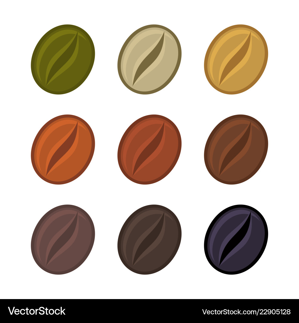 Coffee beans various stages of roasting set Vector Image