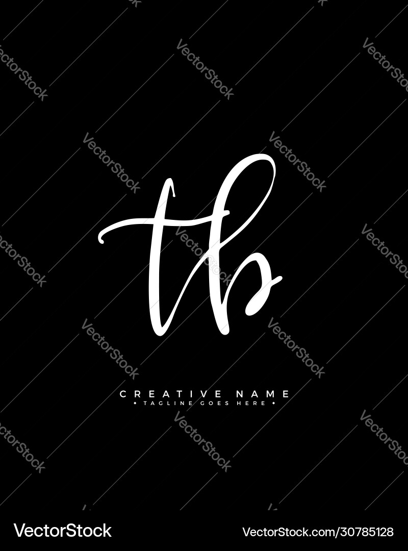 T b tb initial logo signature handwriting Vector Image
