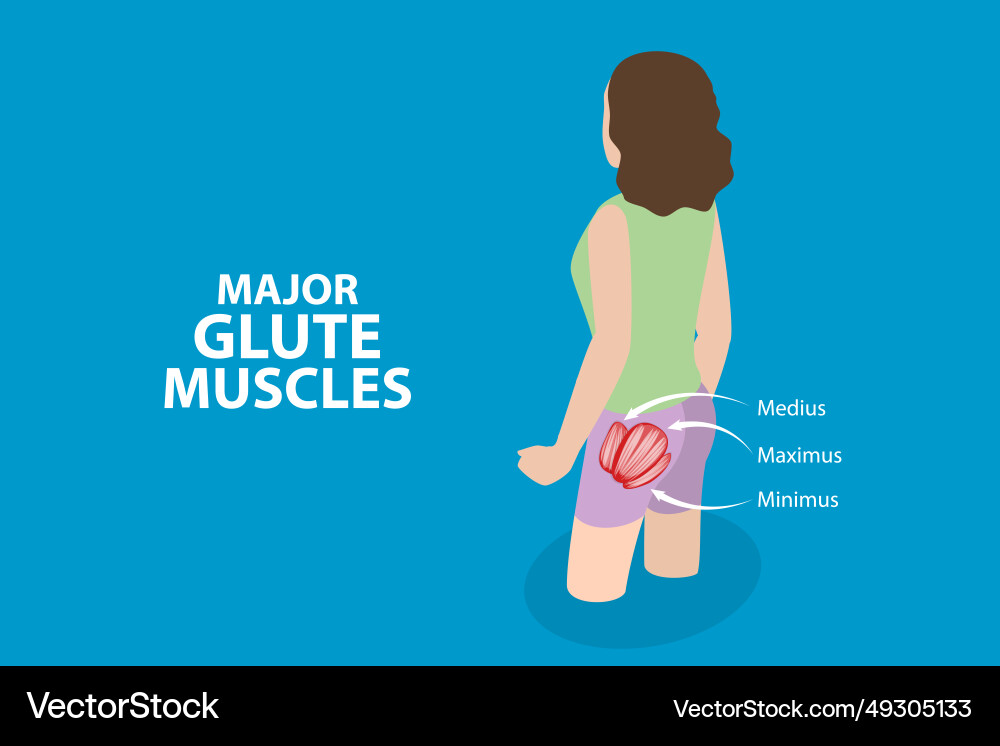 3d isometric flat of major Royalty Free Vector Image