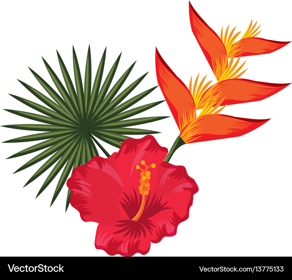 Exotic and tropical flower icon Royalty Free Vector Image