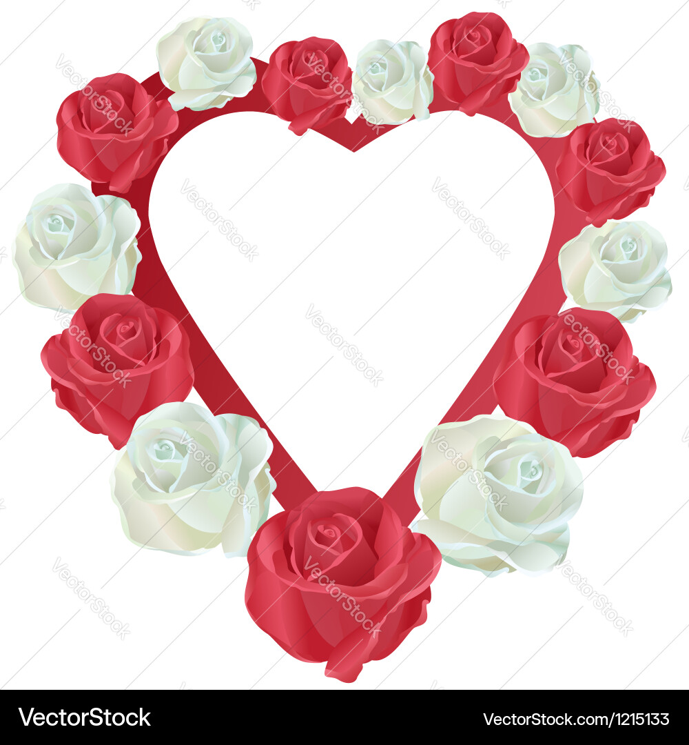 Heart with white and red roses Royalty Free Vector Image