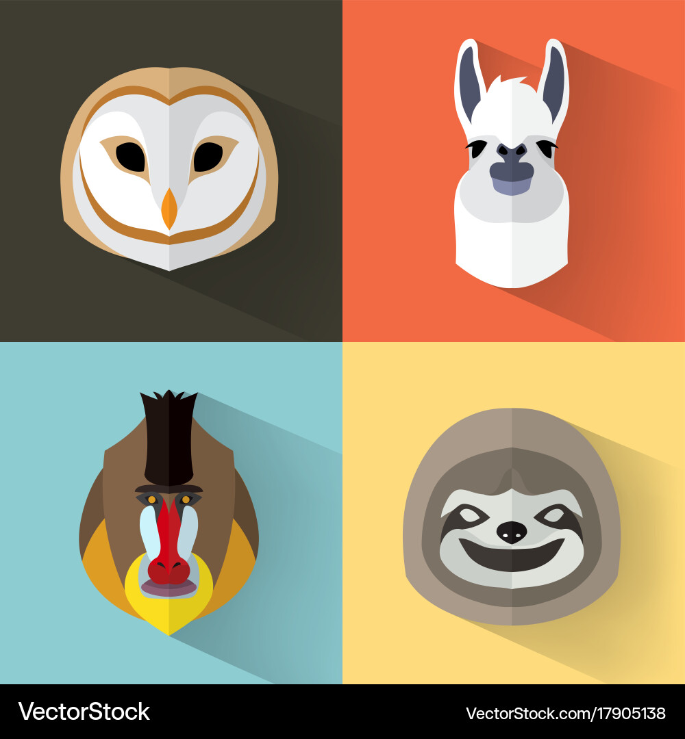 Animal portraits with flat design Royalty Free Vector Image
