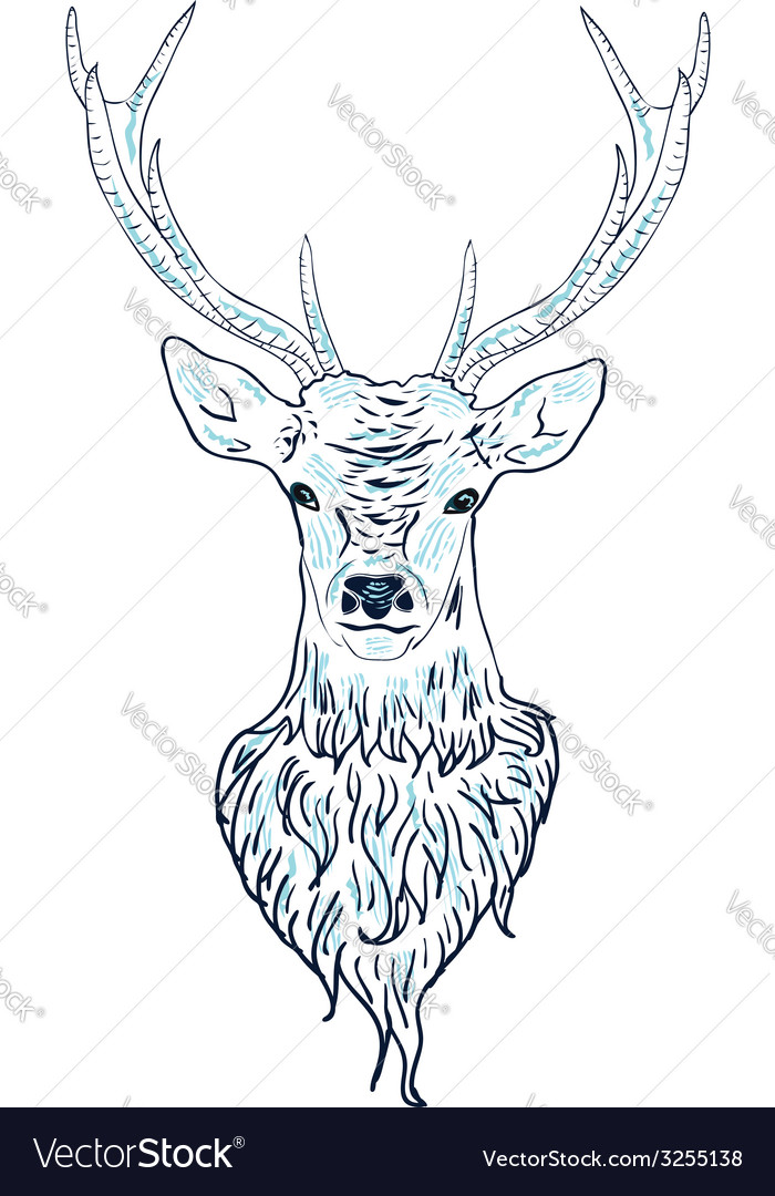 Deer head Royalty Free Vector Image - VectorStock