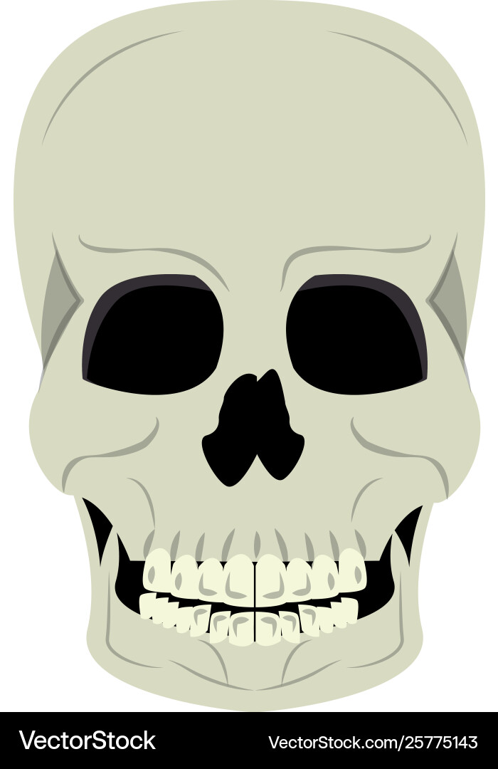 Skull human skeleton cartoon isolated symbol Vector Image