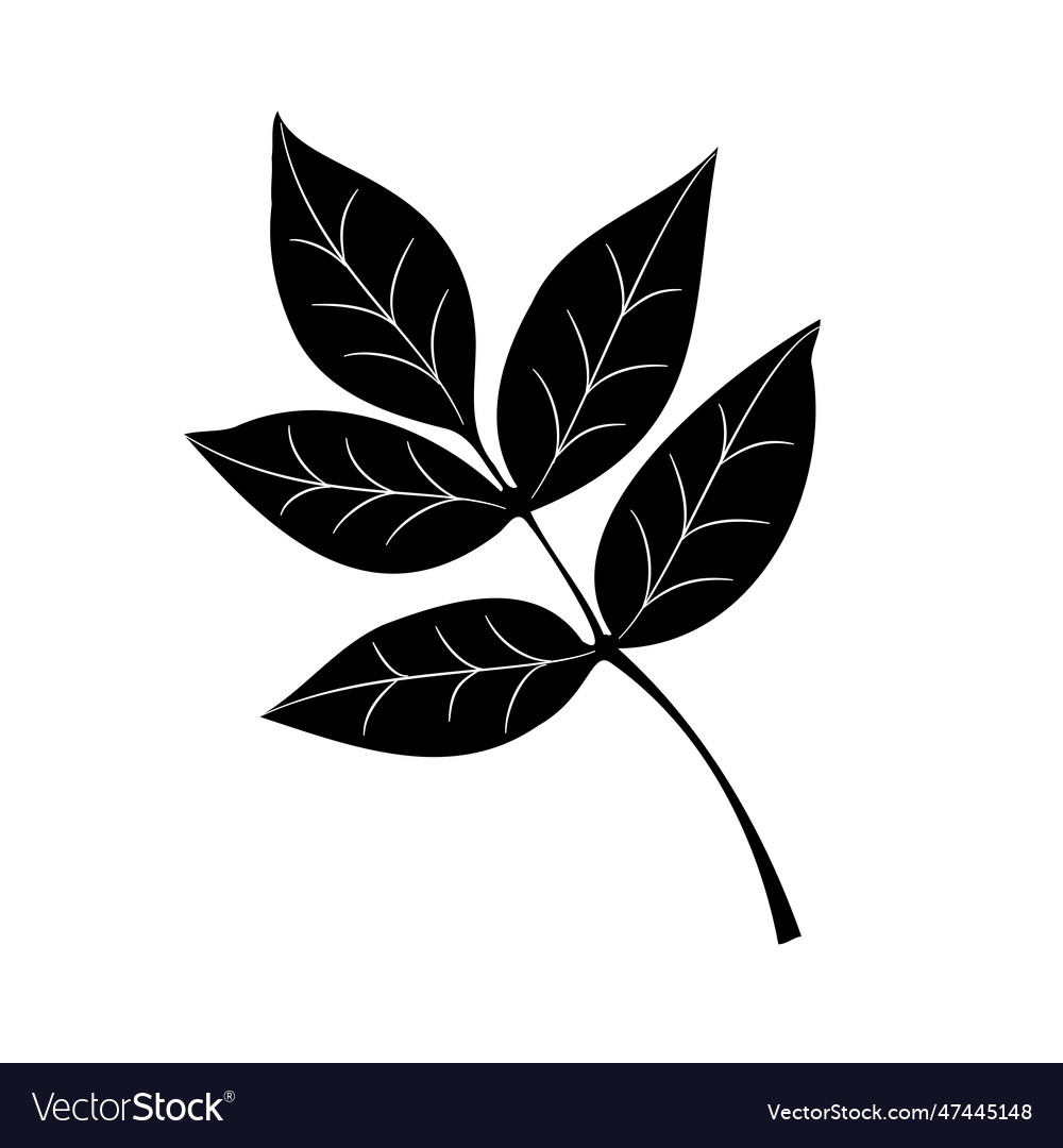 A stylized tree leaf Royalty Free Vector Image