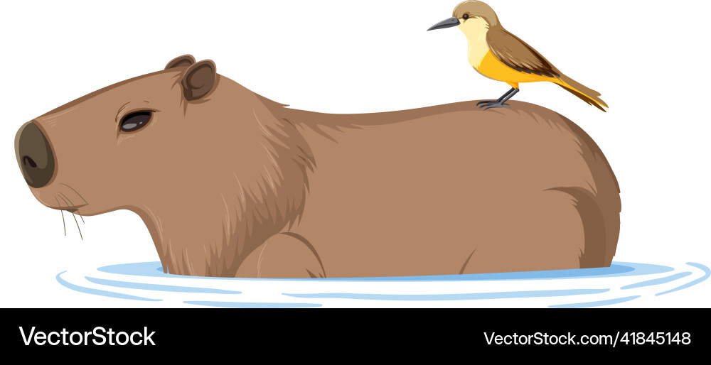 Capybara with a bird in cartoon style Royalty Free Vector
