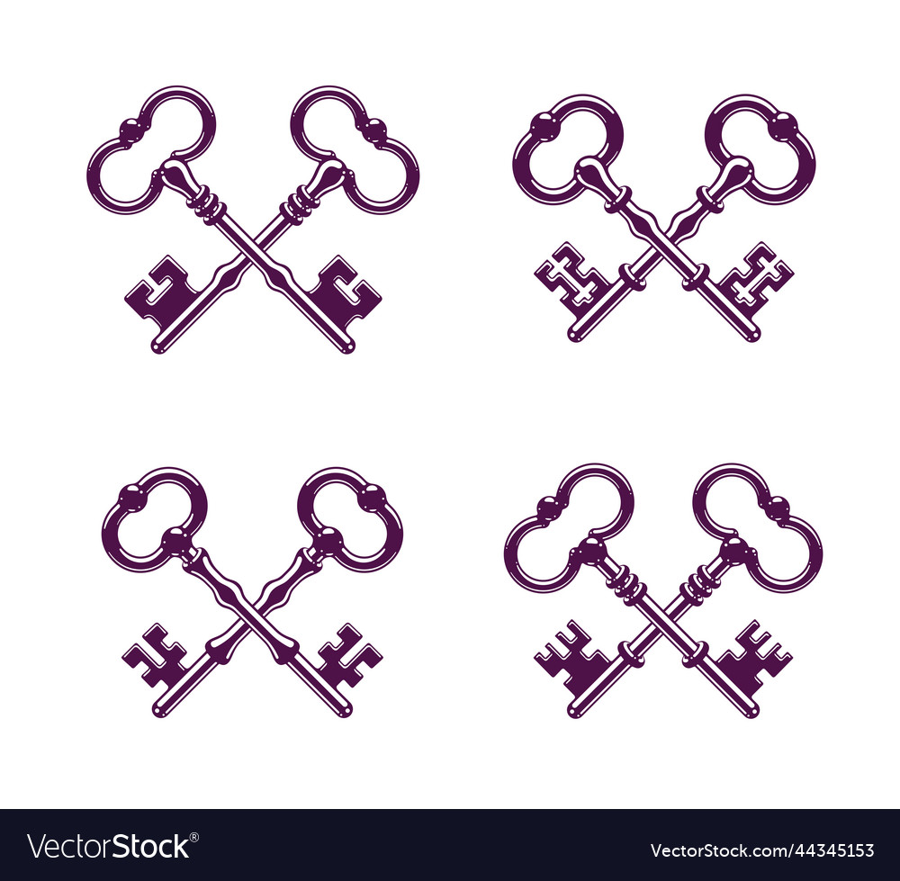 Crossed keys protected secret electronic data Vector Image