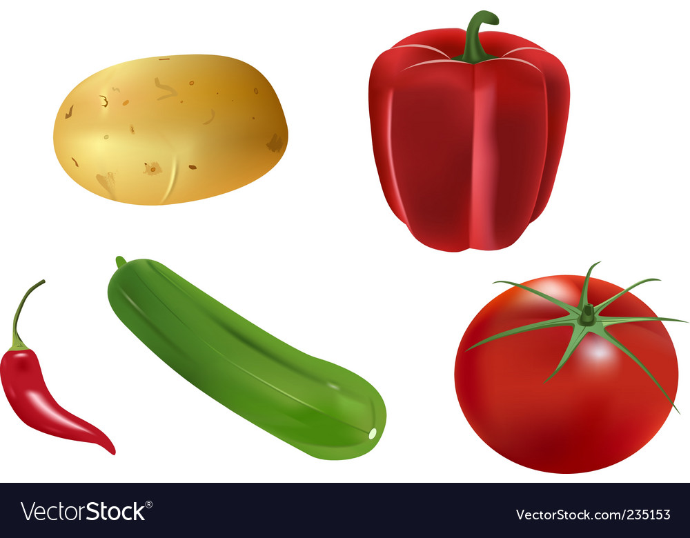 Vegetables Royalty Free Vector Image - VectorStock
