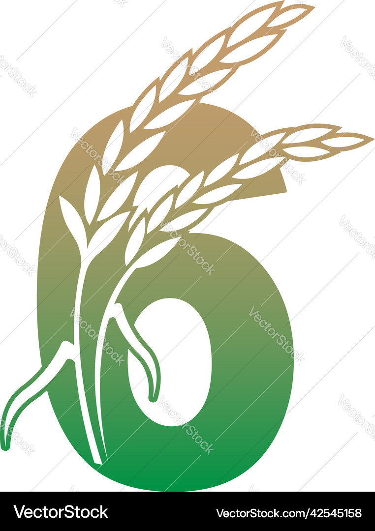Letter 6 with rice plant icon template Royalty Free Vector