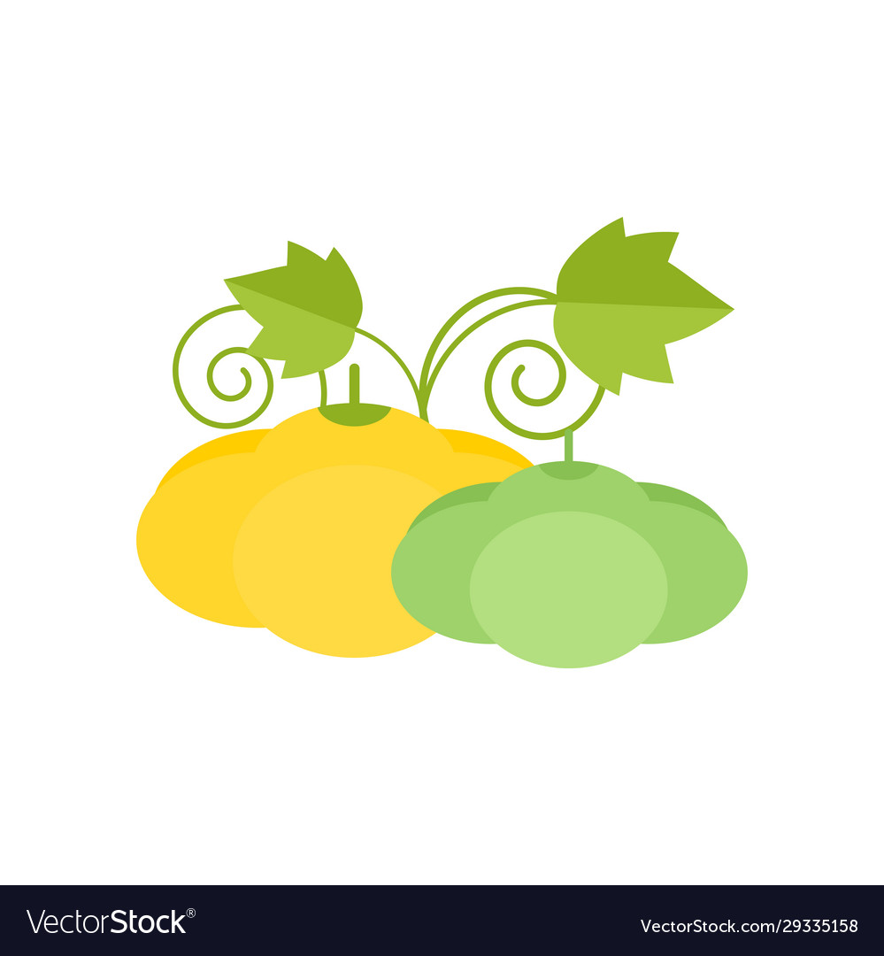 Patisson Royalty Free Vector Image - VectorStock