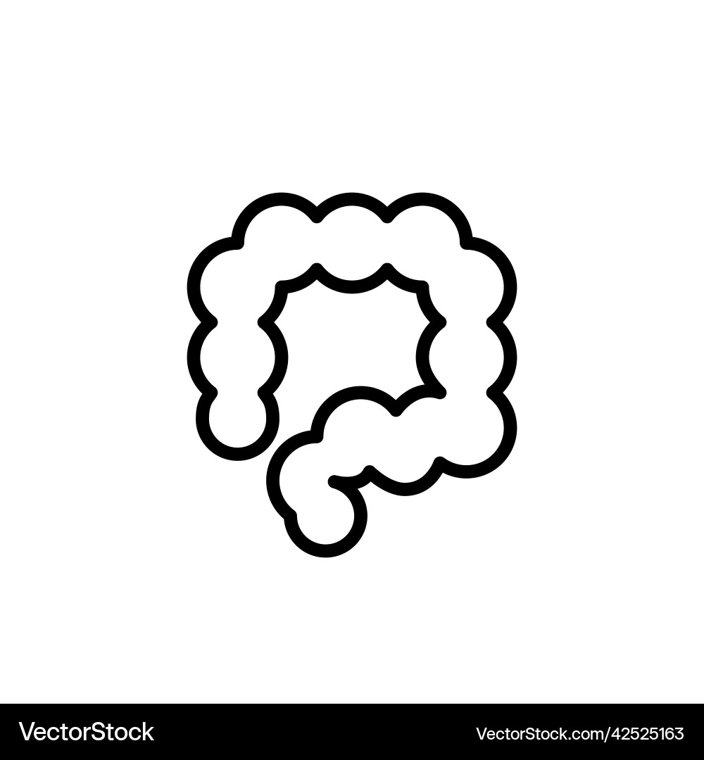 Human bowel gastrointestinal tract disease Vector Image