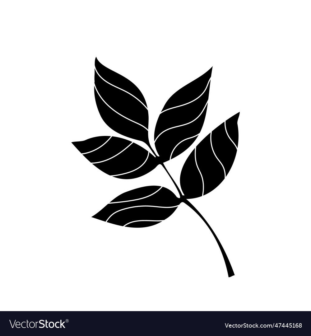 A stylized tree leaf Royalty Free Vector Image