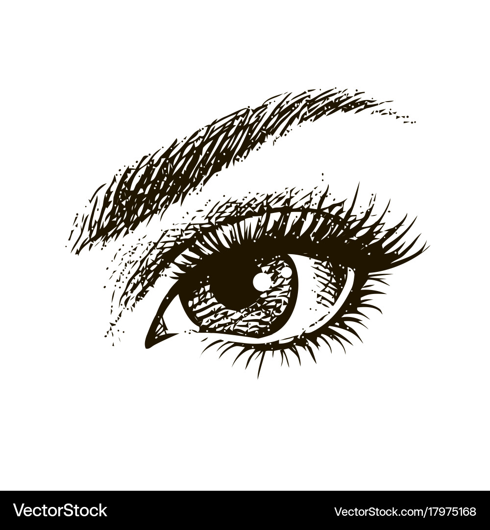 Beautiful female eye Royalty Free Vector Image