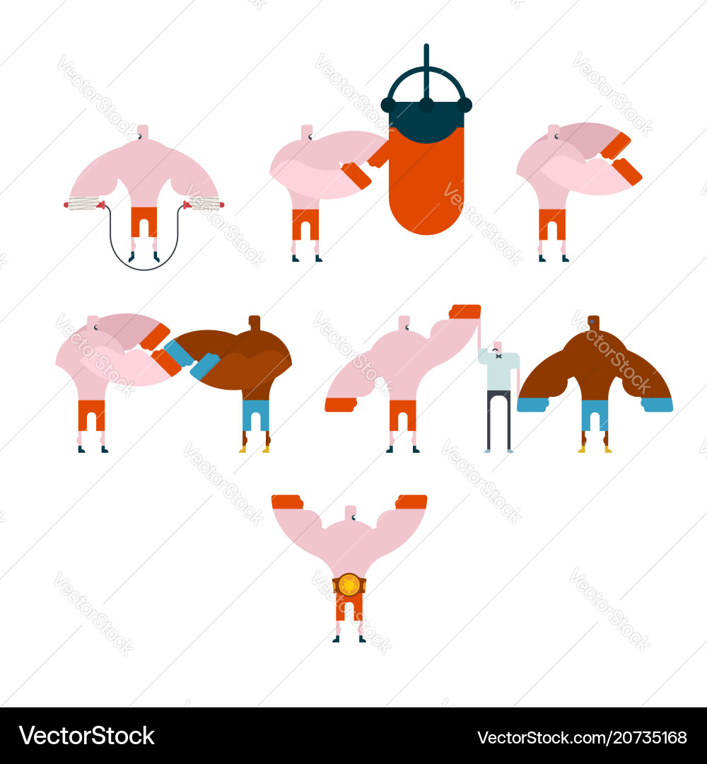 Boxer set training and championship boxing bag Vector Image