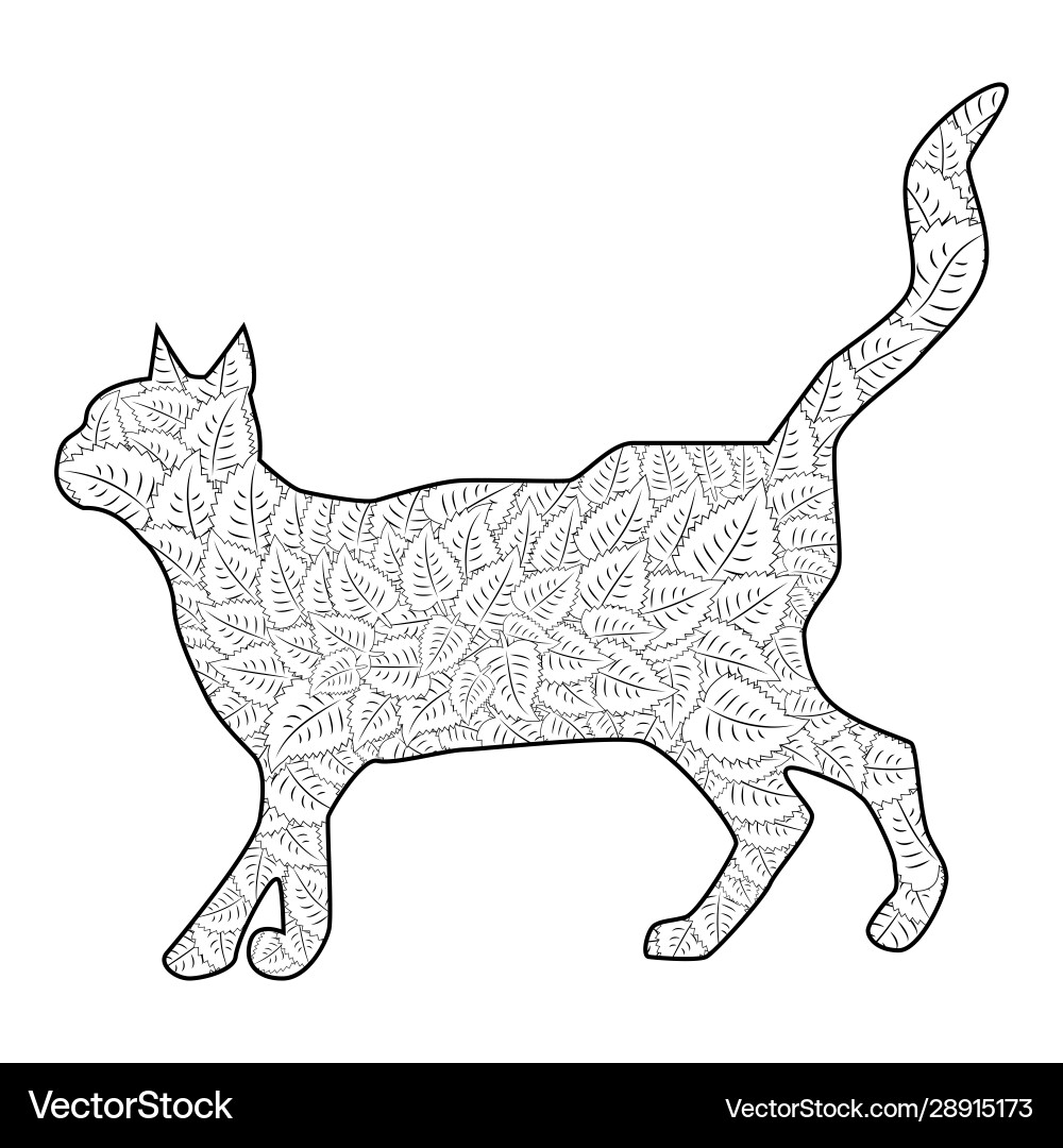 Coloring book magic cat for adults hand drawn Vector Image