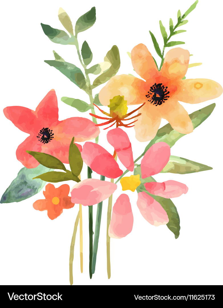 Hand drawn watercolor bouquet isolated elements Vector Image