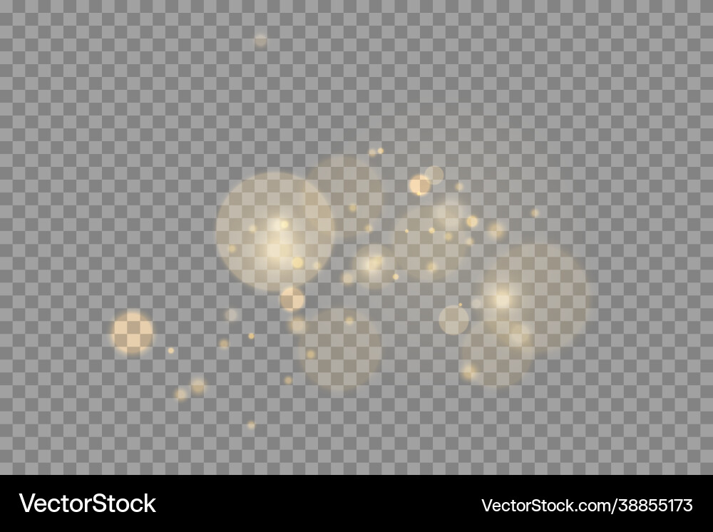 Sparkling golden magic dust particles bokeh light Vector Image