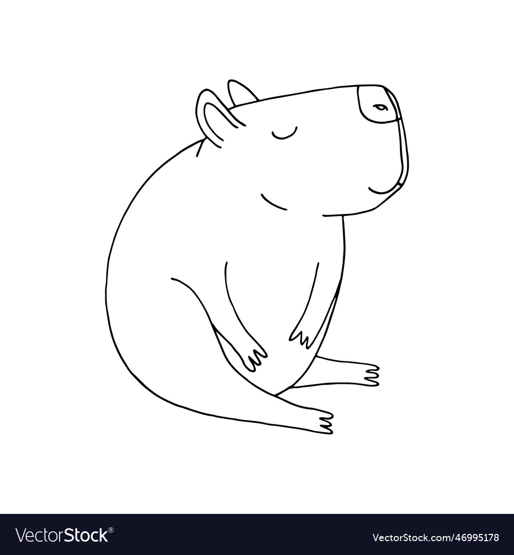 Capybara hand drawn in doodle style cute animal Vector Image