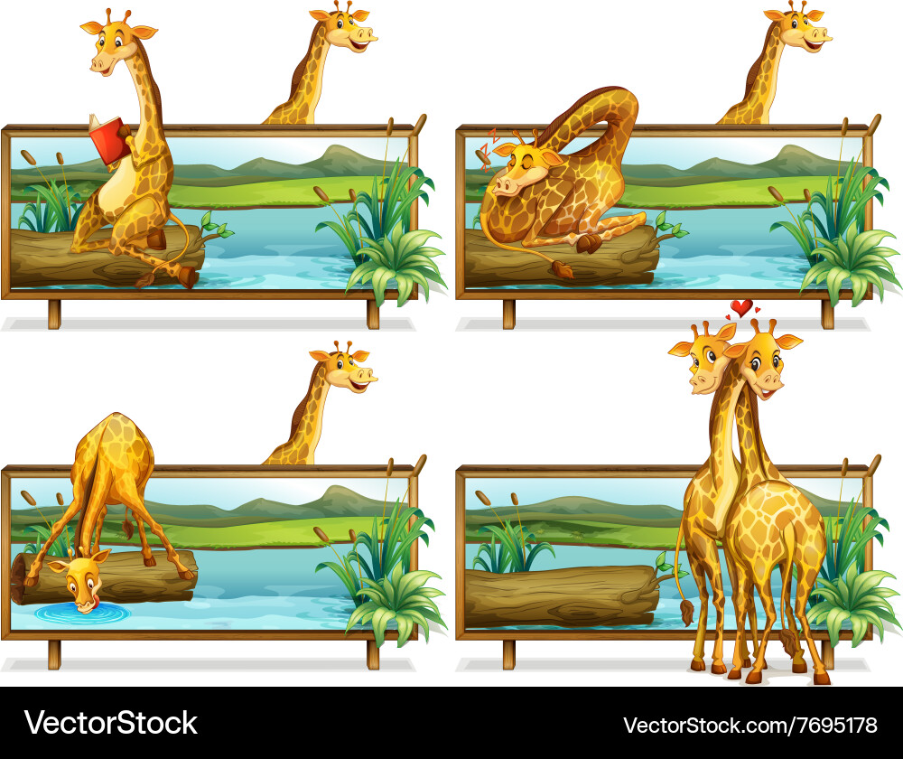 Giraffes in the wooden frames Royalty Free Vector Image