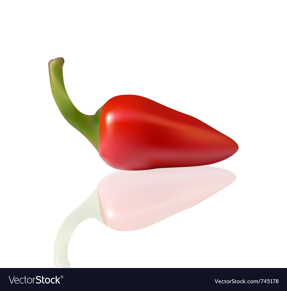 Red chilli Royalty Free Vector Image - VectorStock