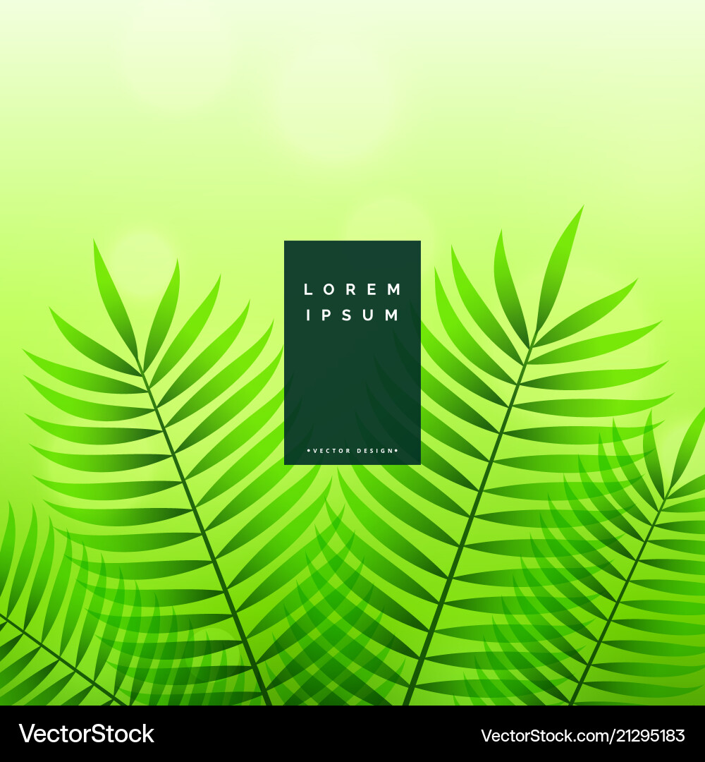 Green leaves eco nature background Royalty Free Vector Image