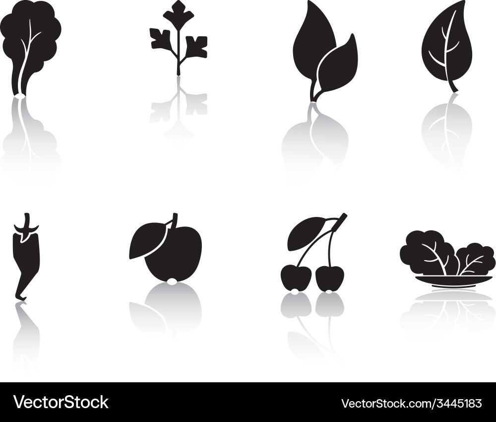 Leaves and fruit icons Royalty Free Vector Image