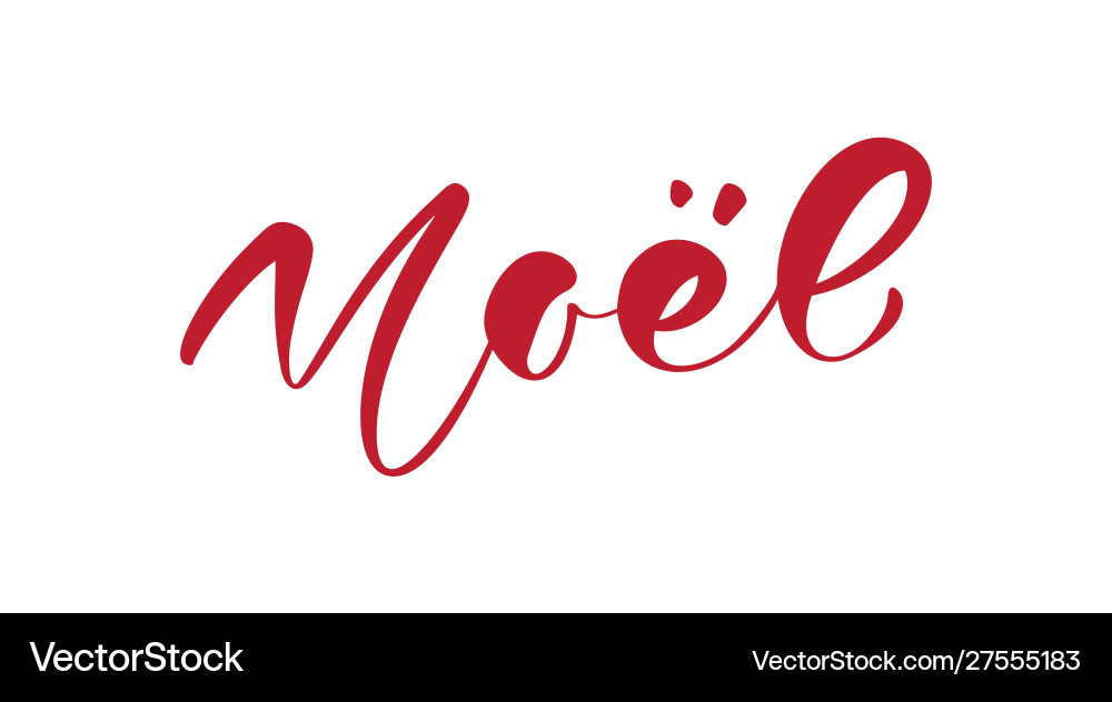 Noel calligraphic christmas hand written Vector Image